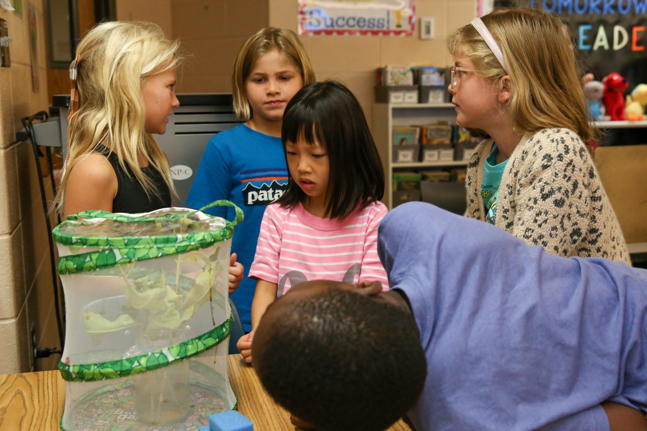 Northpoint 2nd Grade Butterfly Life Cycle 9-12-25 (140) - North Point Elementary